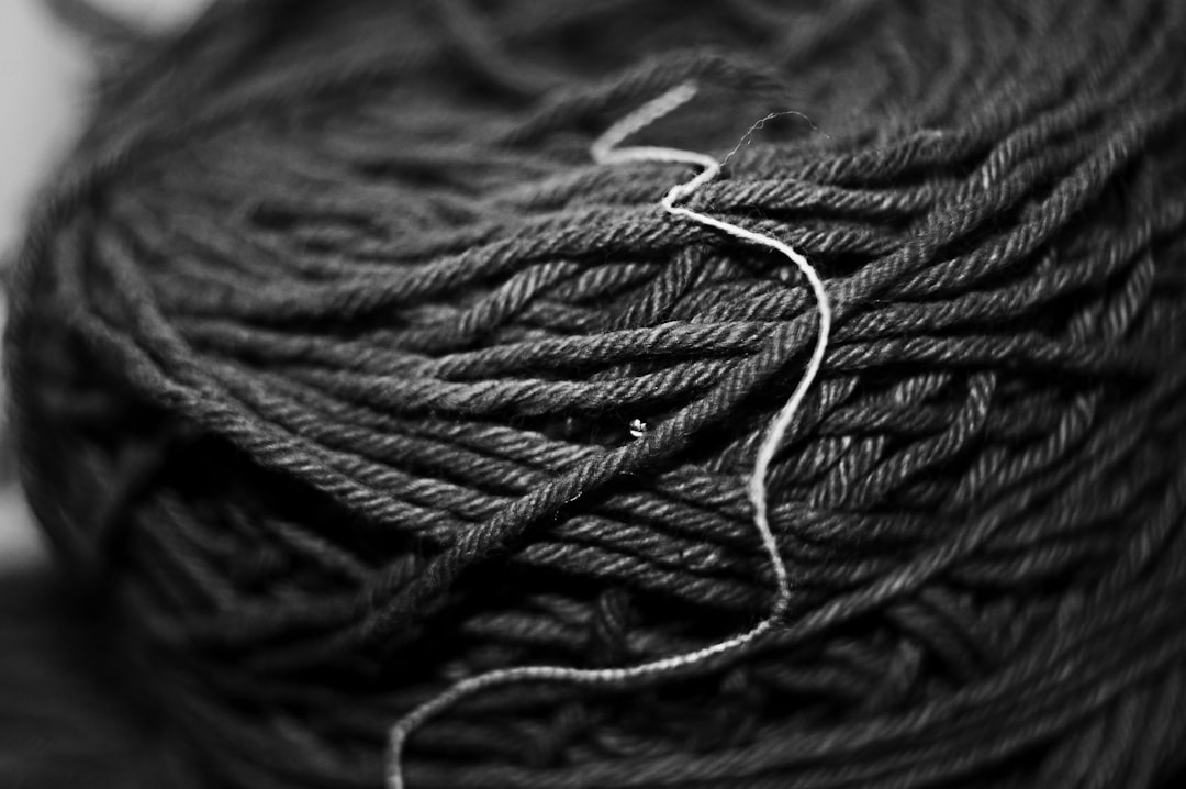 Understanding the Eye: Ciliary Contraction and Lens Adjustment – Eye ...